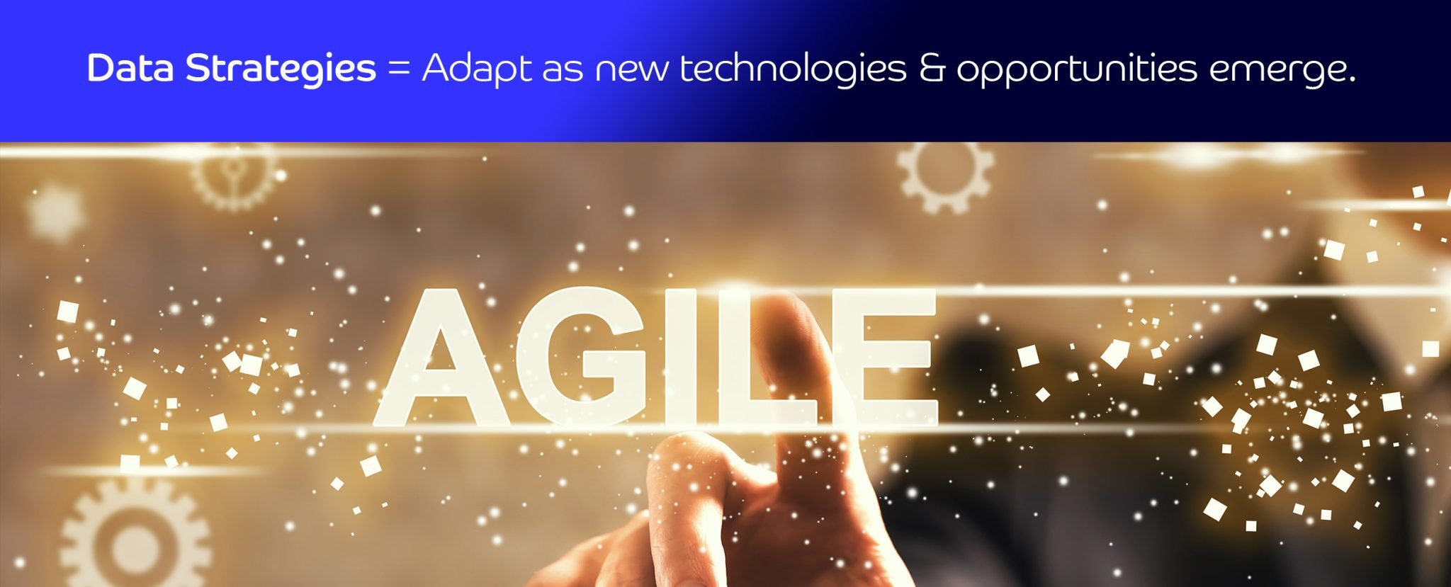 Leveraging Data Insights for Business Growth